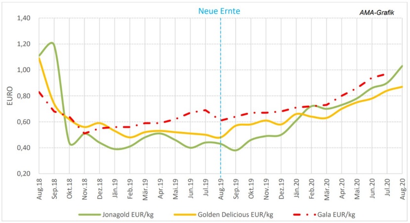 Neue Ernte bereichert das Angebot von Tafeläpfeln